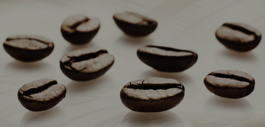 Quality – illy Australia